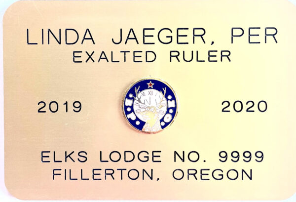 Over the Pocket and Flat Badges - Badges by Jan